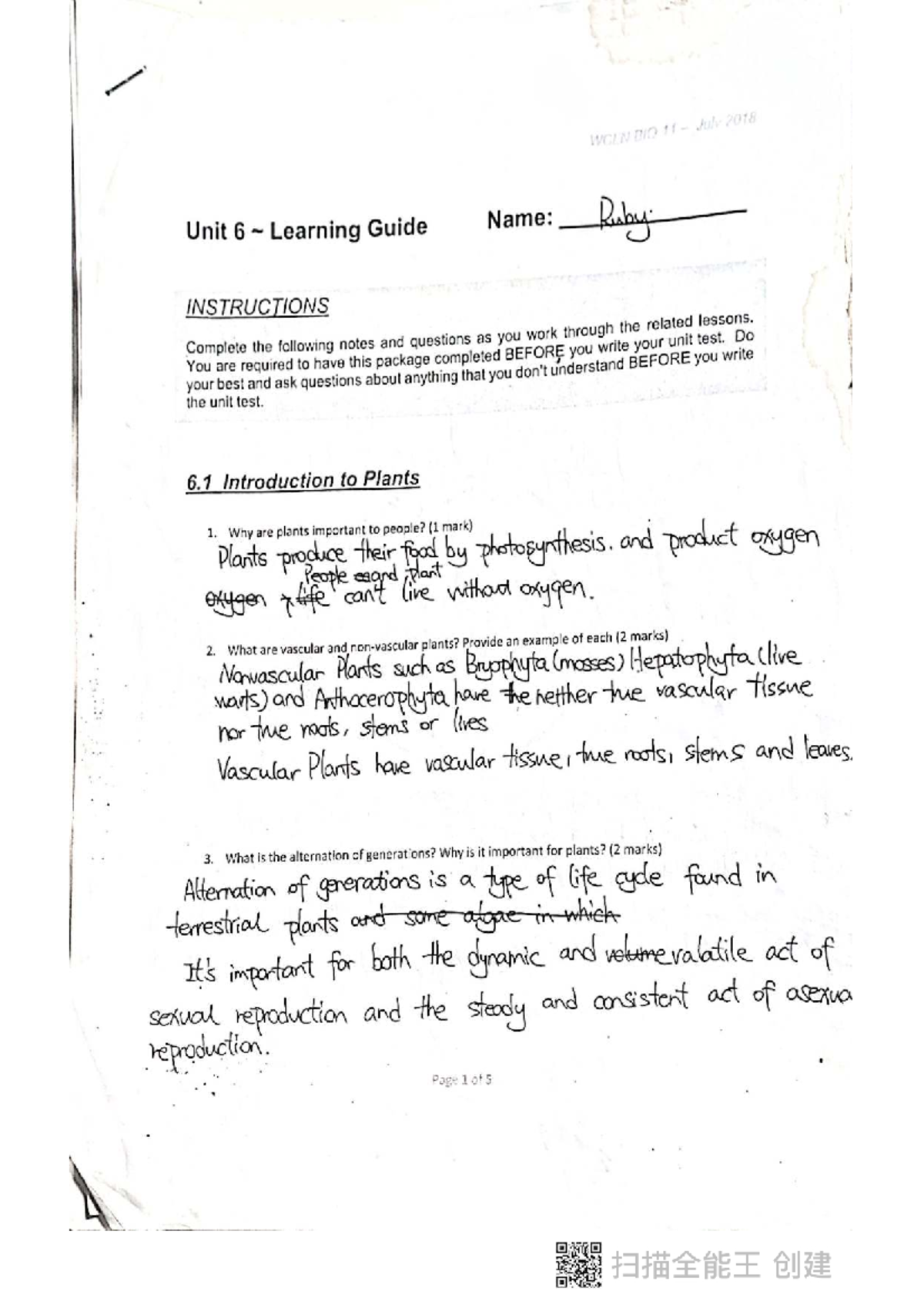 WCLN BIO 11 Unit 6 Learning Guide: Plant Biology Overview - Studocu