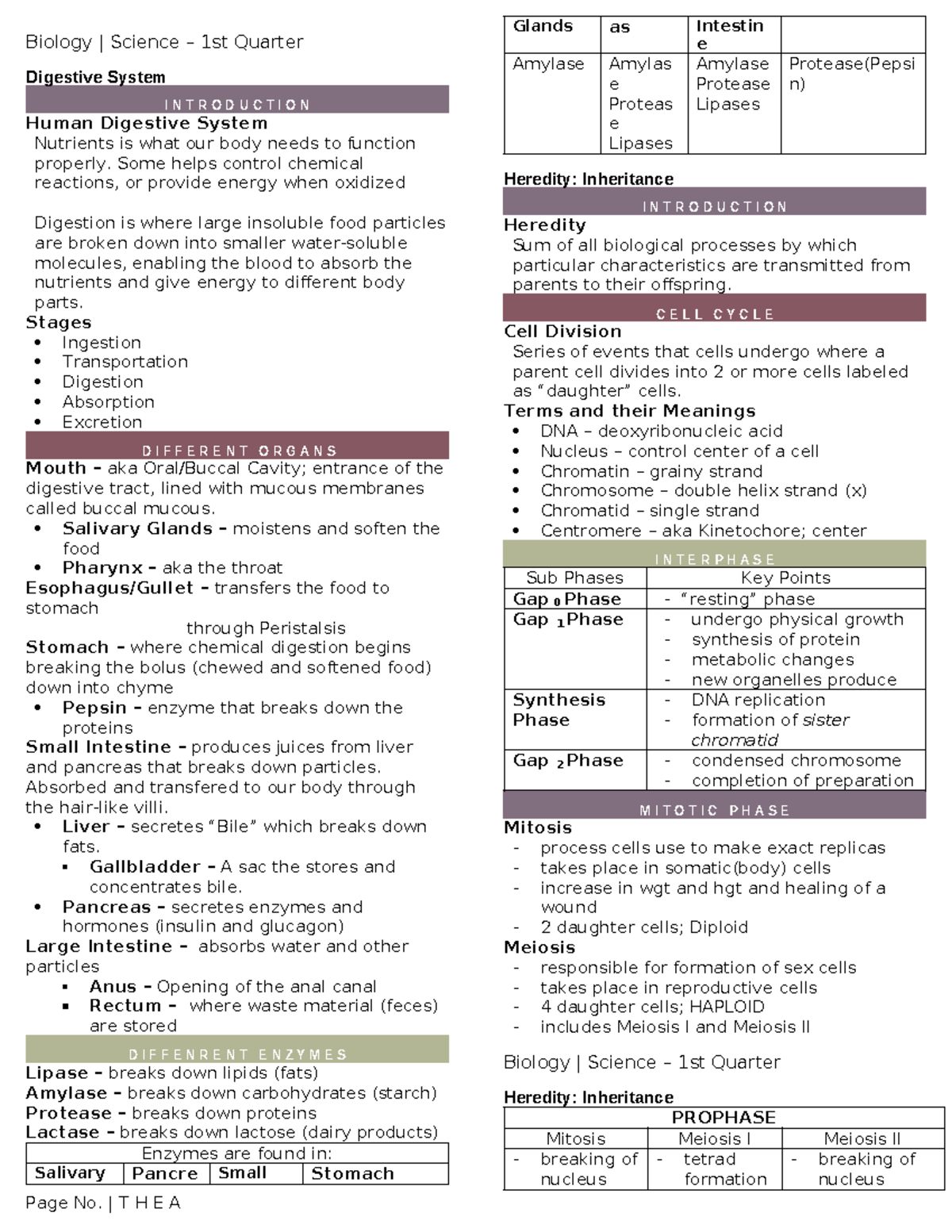 Science Rev For 1st Quarter - Biology | Science – 1st Quarter Digestive ...