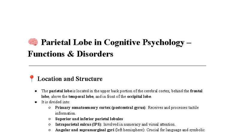 🧠 Parietal Lobe in Cognitive Psychology: Functions & Disorders Overview ...