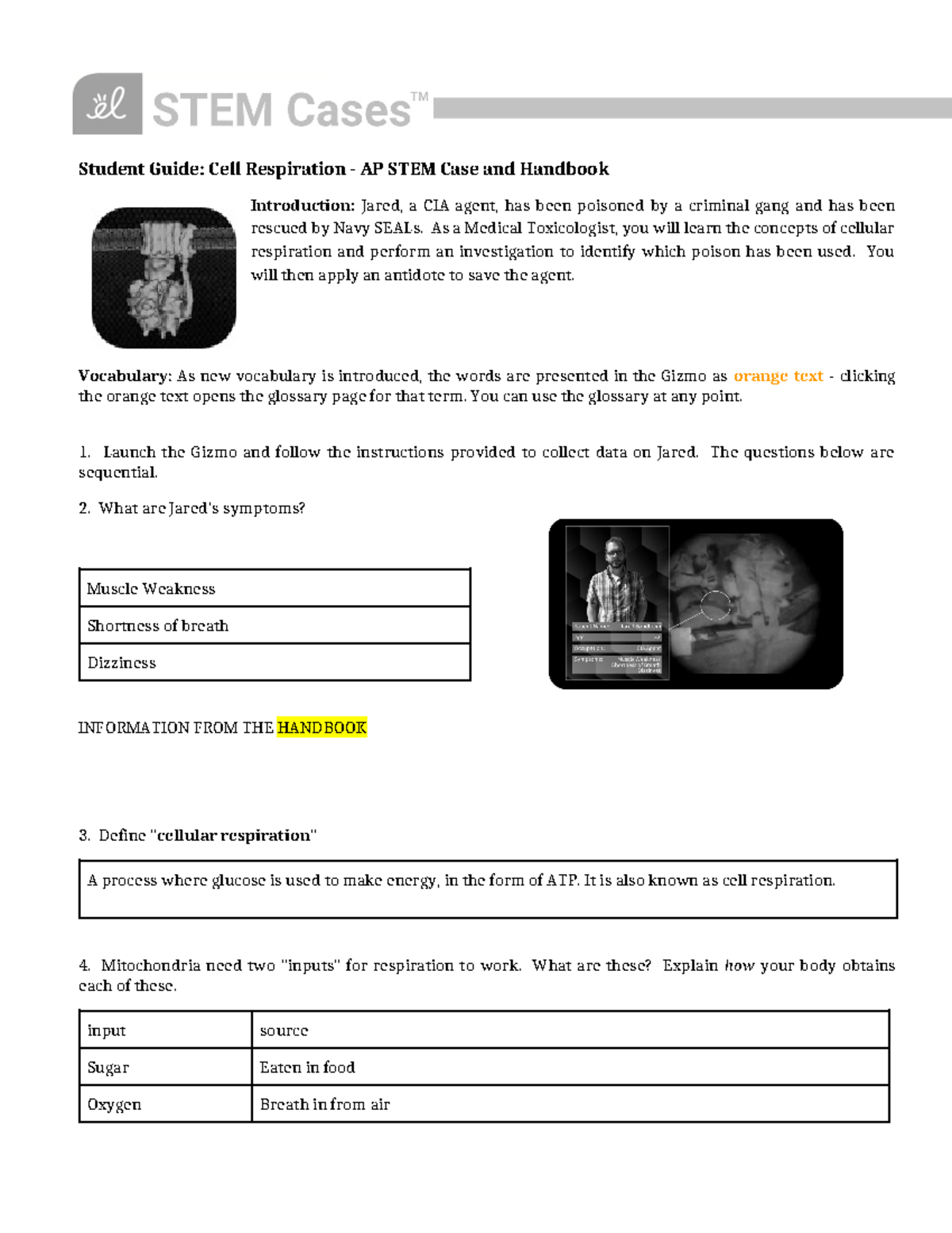 AP STEM Case Study: Understanding Cellular Respiration Dynamics - Studocu