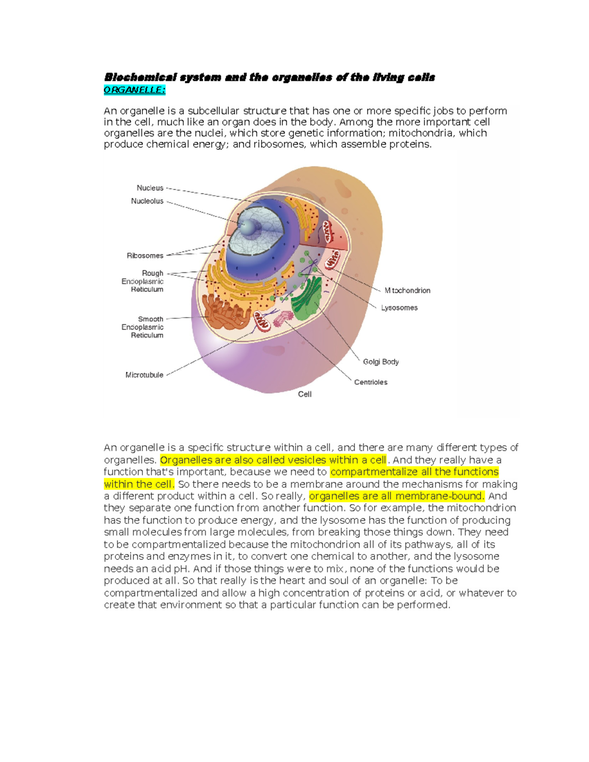 Biochemical system and the organelles of the living cells - Among the ...