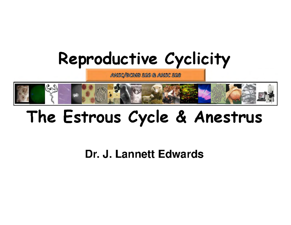 Understanding the Estrous Cycle and Anestrus in Domestic Animals ...