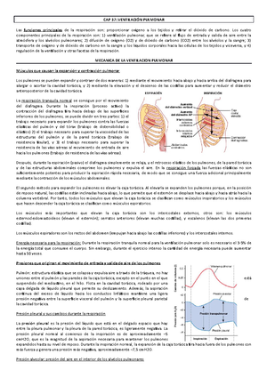 Resumen Guyton Cap 41 Fisiología - Transporte de oxígeno y dióxido de carbono en la sangre y los ...