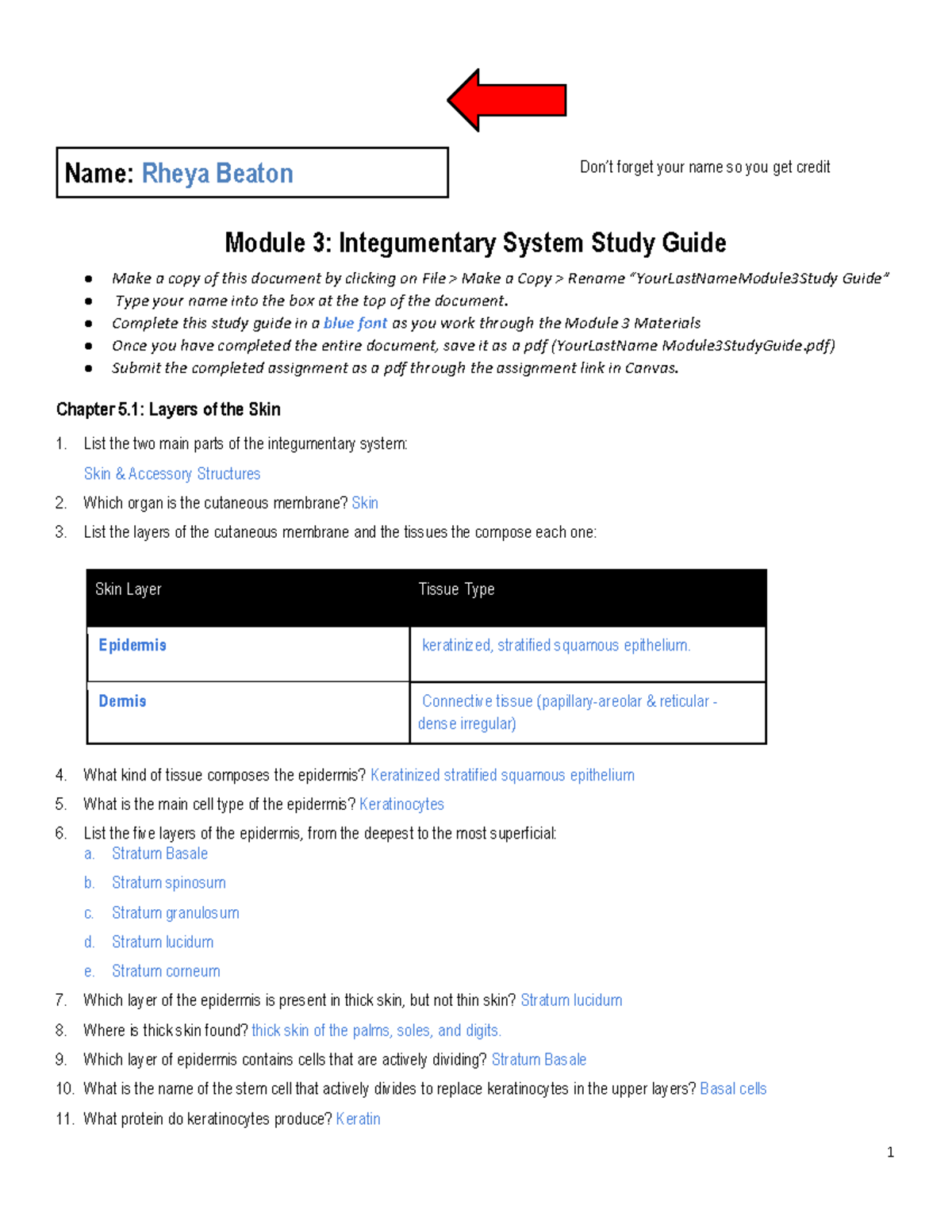 Module 3: Integumentary System Study Guide & Review Notes - Studocu