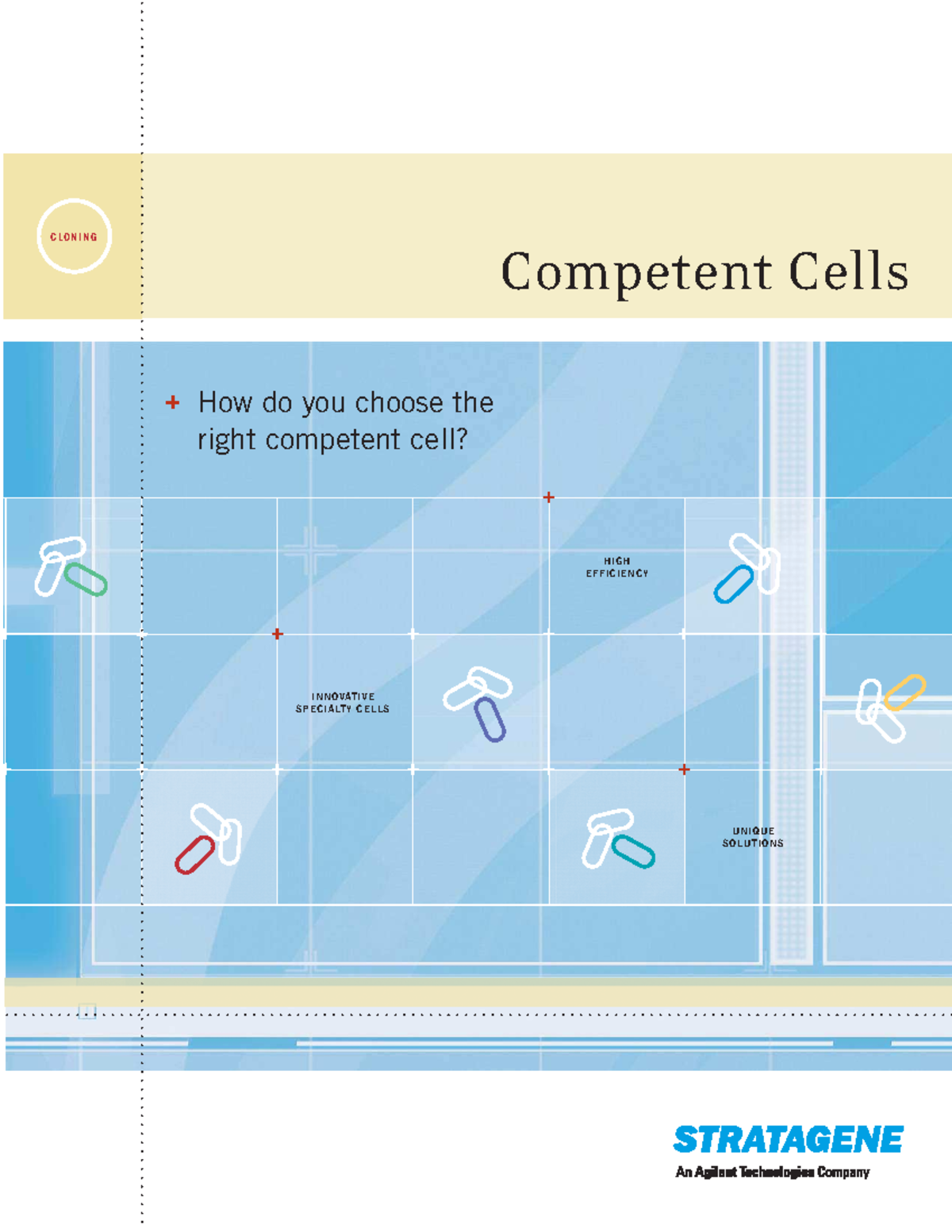 Competent Cells for Cloning: Efficiency and Selection Strategies (5989 ...