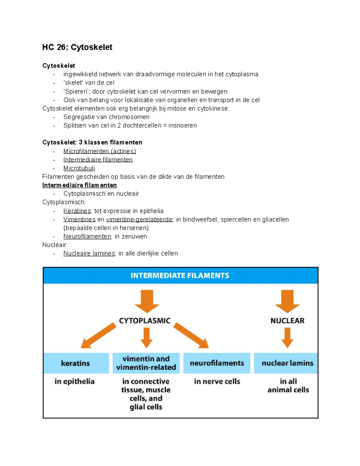 Ct M Thema 7: Cytoskelet & Extracellulaire Matrix Functies en Structuur ...