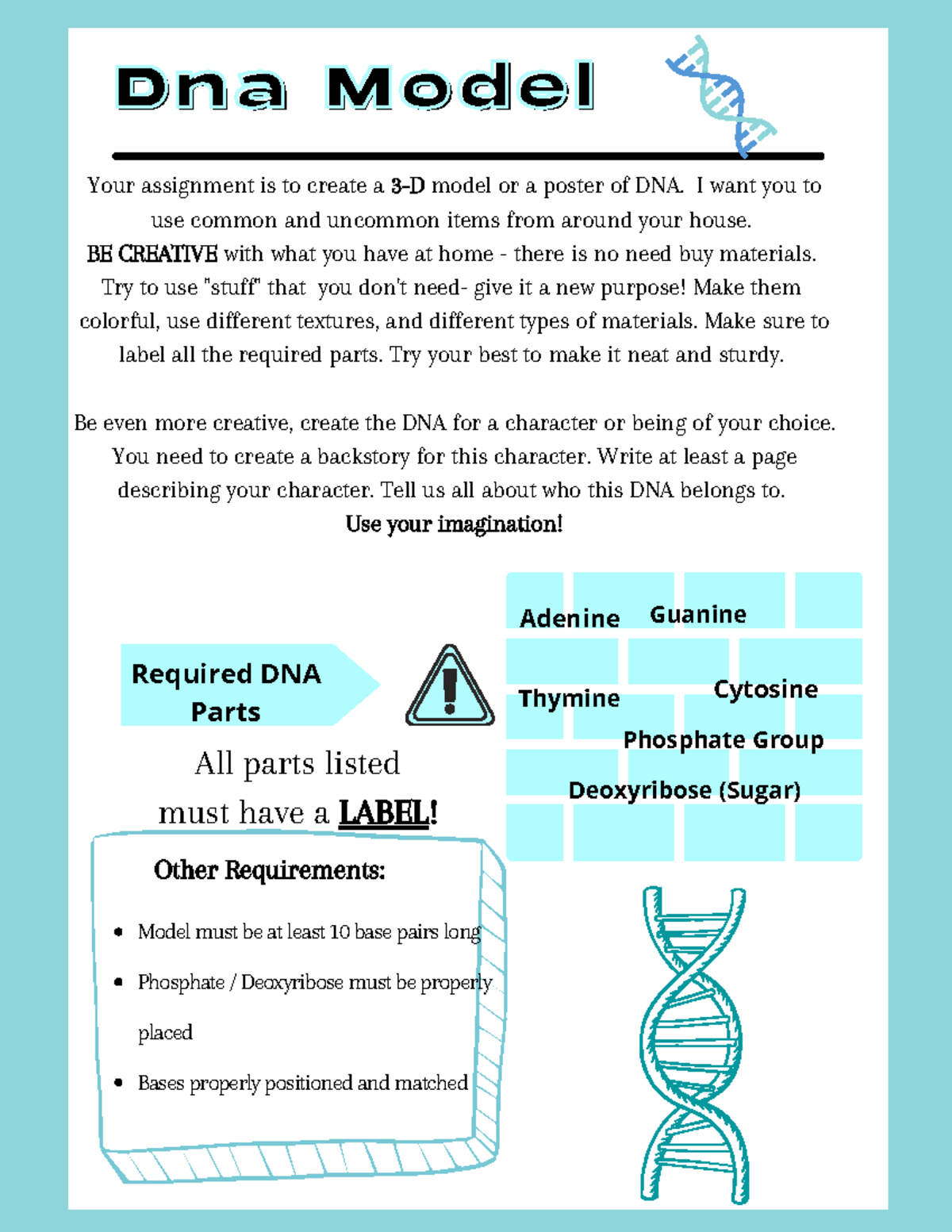 8th DNA - project - Dna ModelDna Model Your assignment is to create a 3 ...