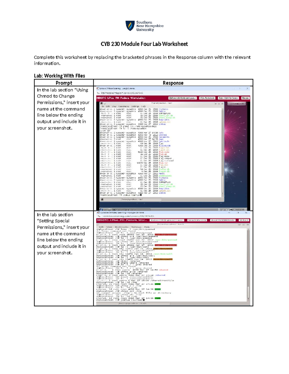CYB 230 Module Four Lab Worksheet: Working with File Permissions - Studocu