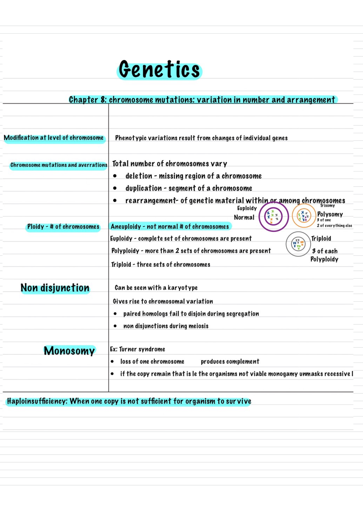 Genetics - Chapter 8 - lecture notes from PowerPoint in-person class ...