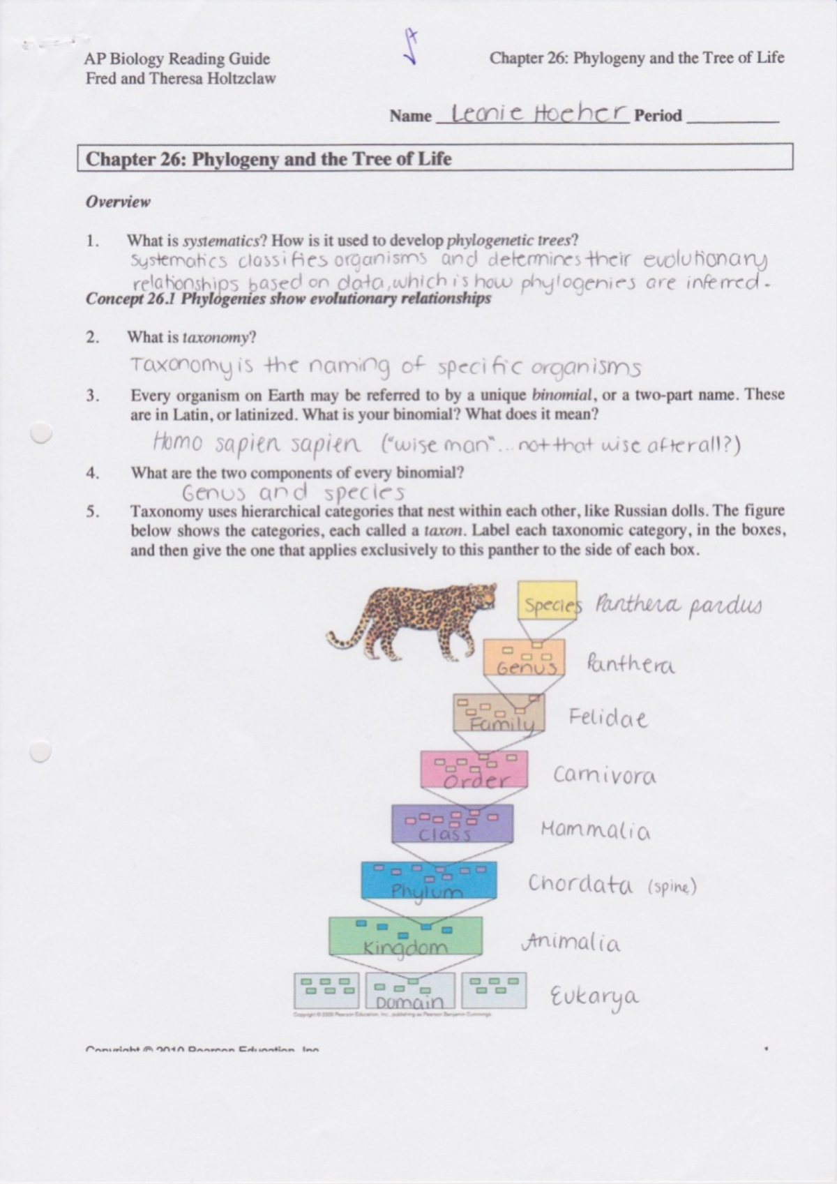 AP Biology Chapter 26 Reading Guide: Phylogeny & Tree of Life - Studocu
