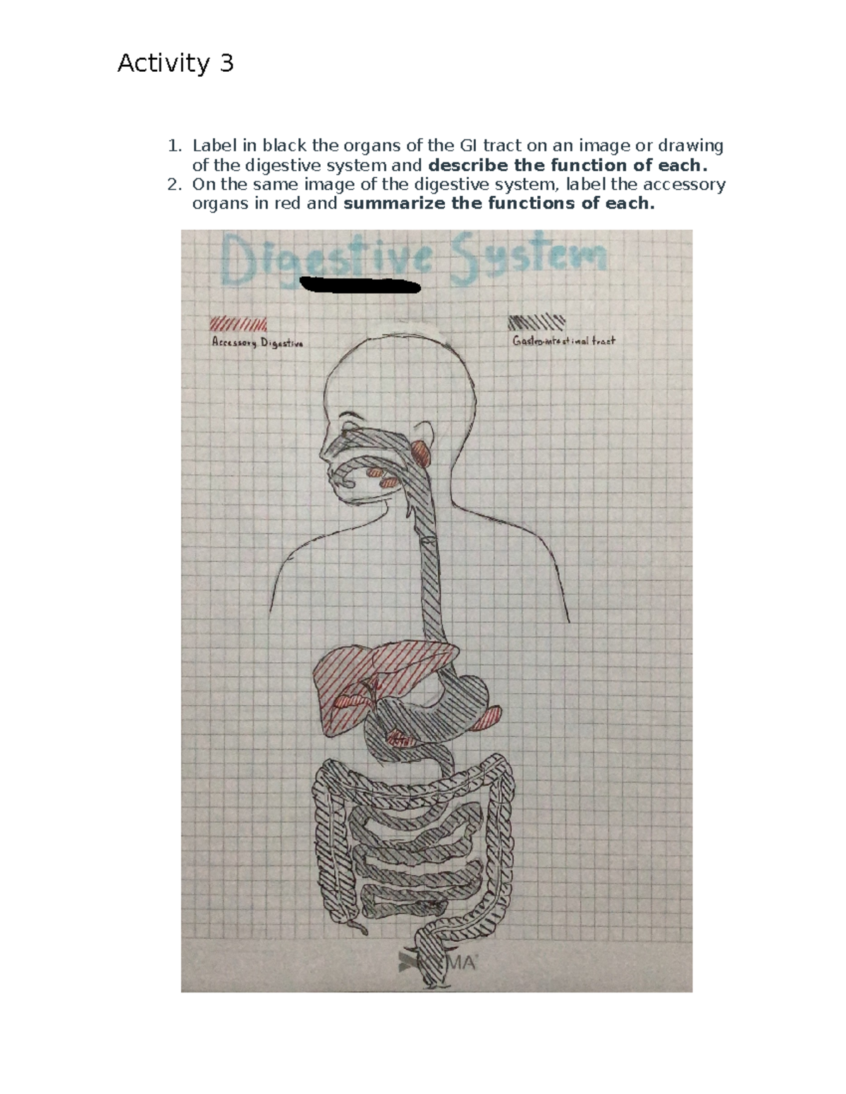 Actividad 3 - Human Body Care - 1. Label in black the organs of the GI ...