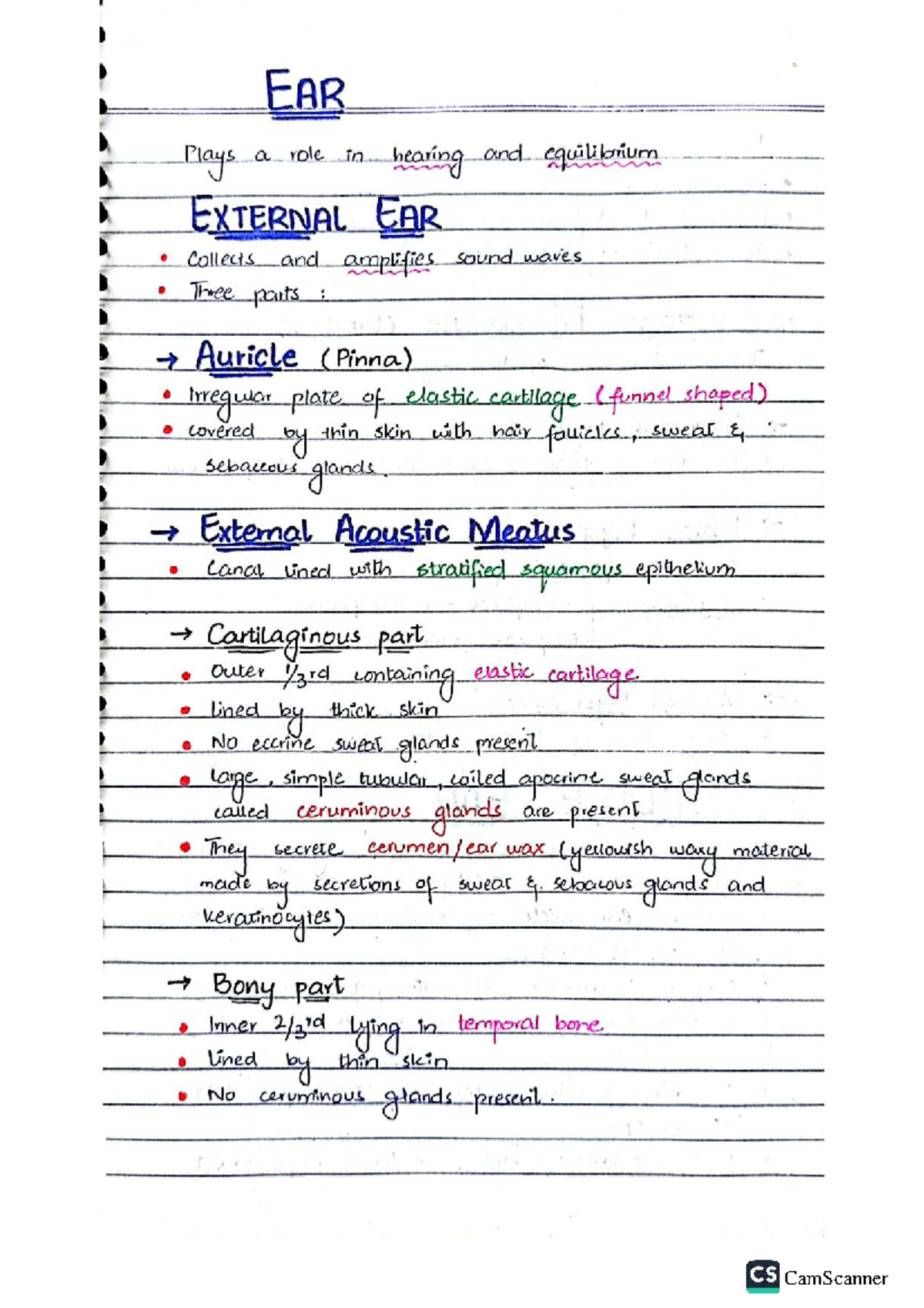 Ear Histology: Structure and Function of the External and Internal Ear ...
