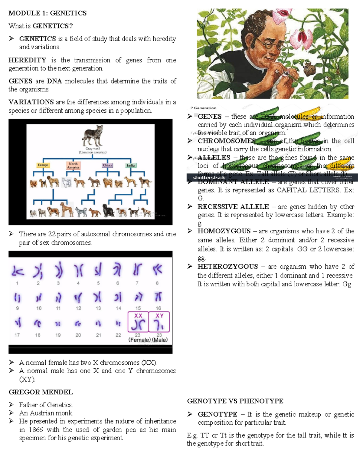 Module 1 AND 2 Biology Prelim - MODULE 1: GENETICS What is GENETICS ...