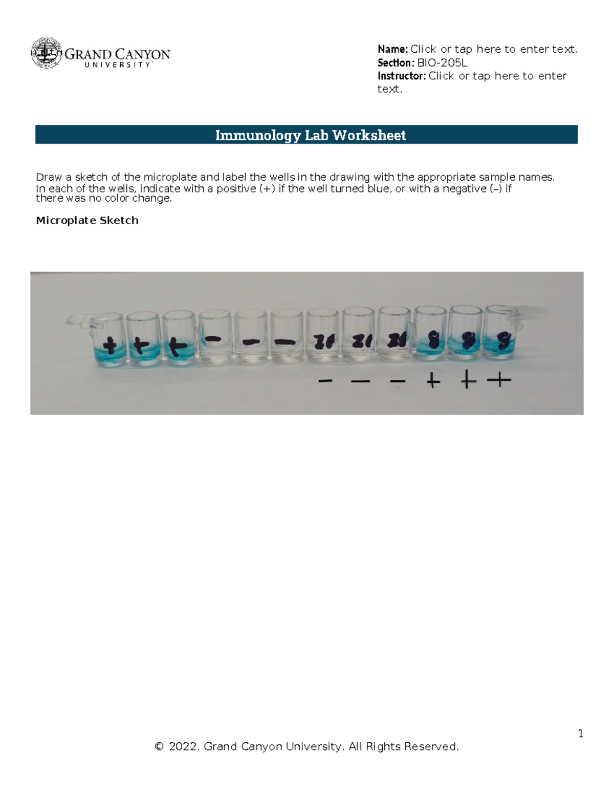 BIO 205L Immunology Lab Worksheet: Essential Concepts and Analysis ...