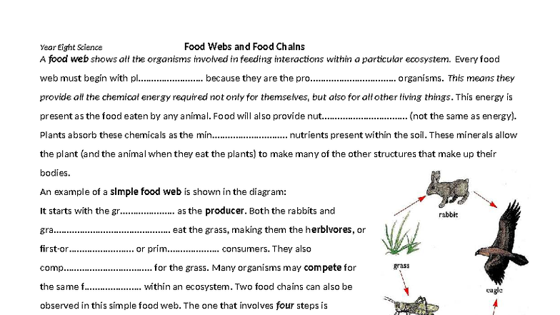 Year 8 Science: Food Webs and Food Chains Overview and Key Concepts ...