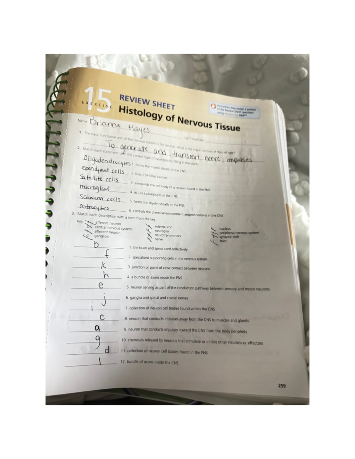 Histology Review Sheet 15: Nervous Tissue Neuron Anatomy Insights - Studocu