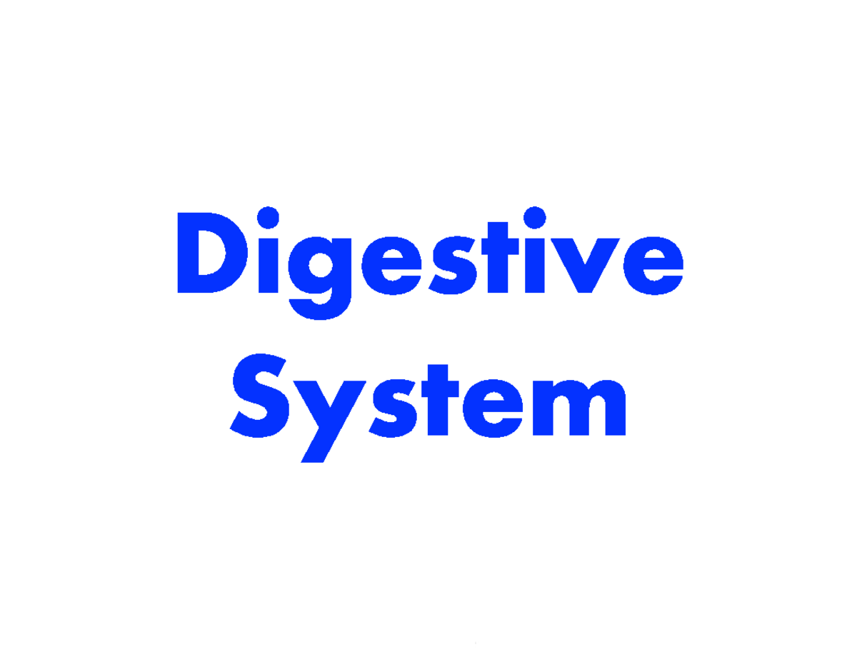 Digestive System Overview: Functions, Processes, and Regulation - Studocu