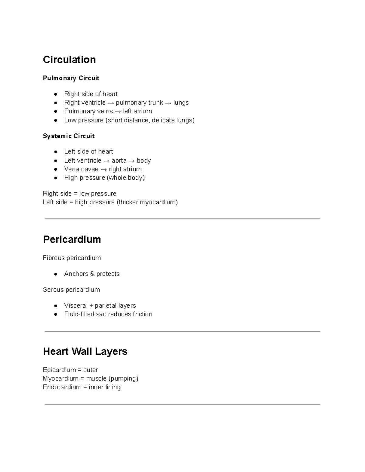 Cardiovascular System Notes: Circulation & Heart Function Overview ...