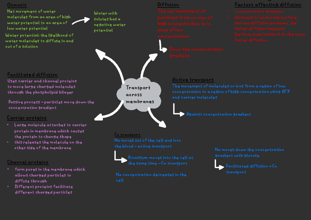 Mind maps - transport across membranes mind map - Transport across ...