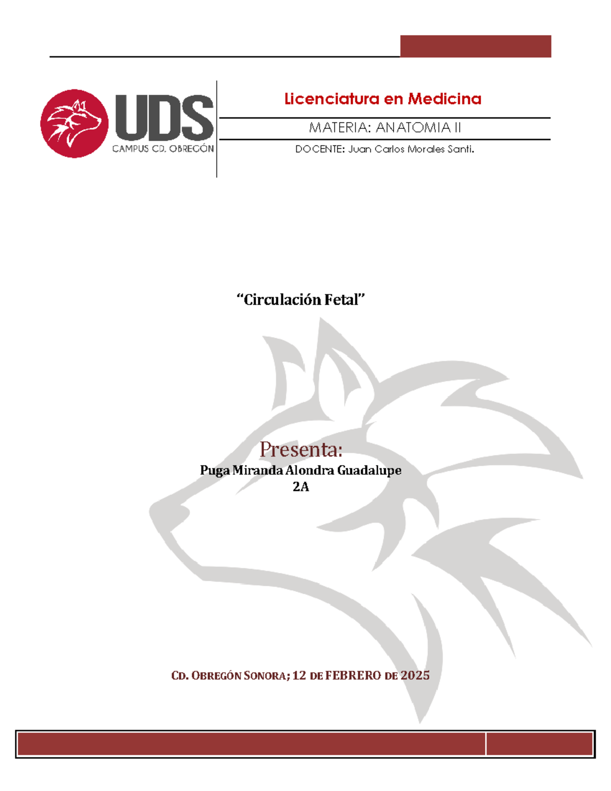 Circulacion fetal - Anatomia y disecciones - “Circulación Fetal ...