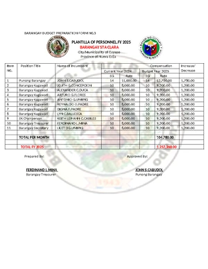 Barangay Budget Message & Appropriation Ordinance FY 2025 - STA CLARA ...