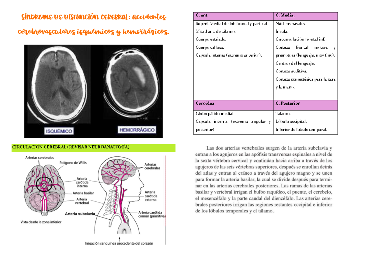 ACV: Resumen sobre Disfunción Cerebral y Accidentes Isquémicos ...