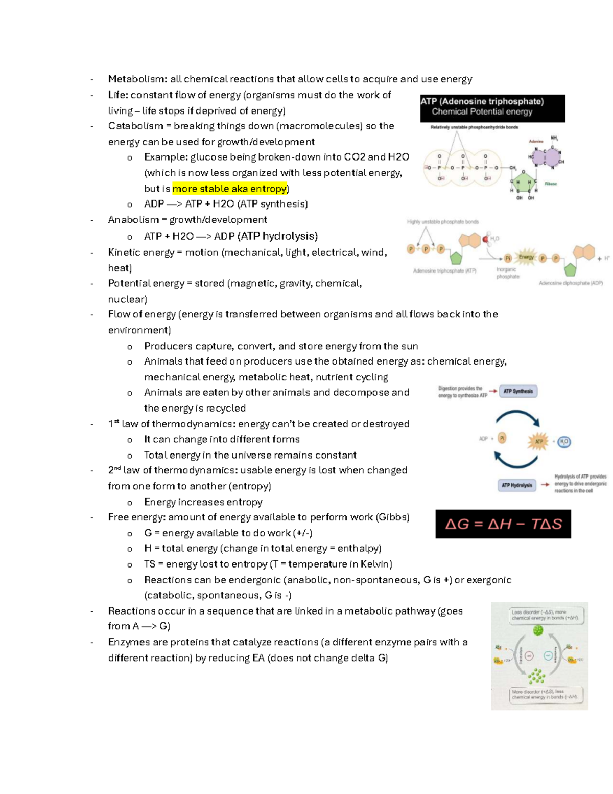 Metabolism Concepts and Energy Transformations - BIO101 Lecture Notes ...