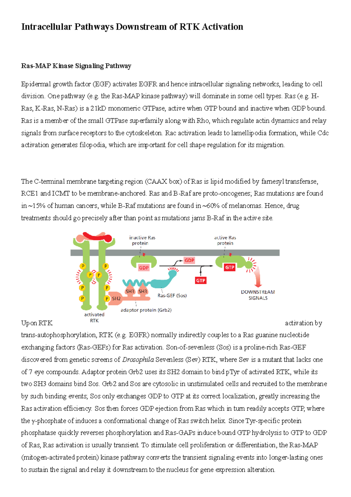 Intracellular Signaling Pathways Induced by RTK Activation: A Study ...