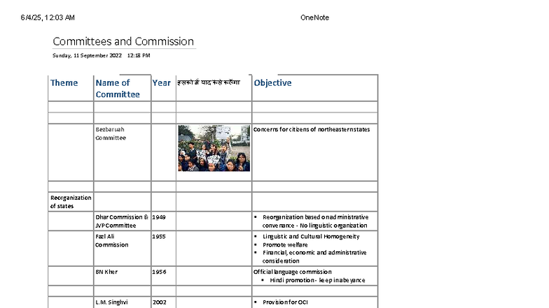 Committees and Commissions Overview: Key Insights and Objectives - Studocu