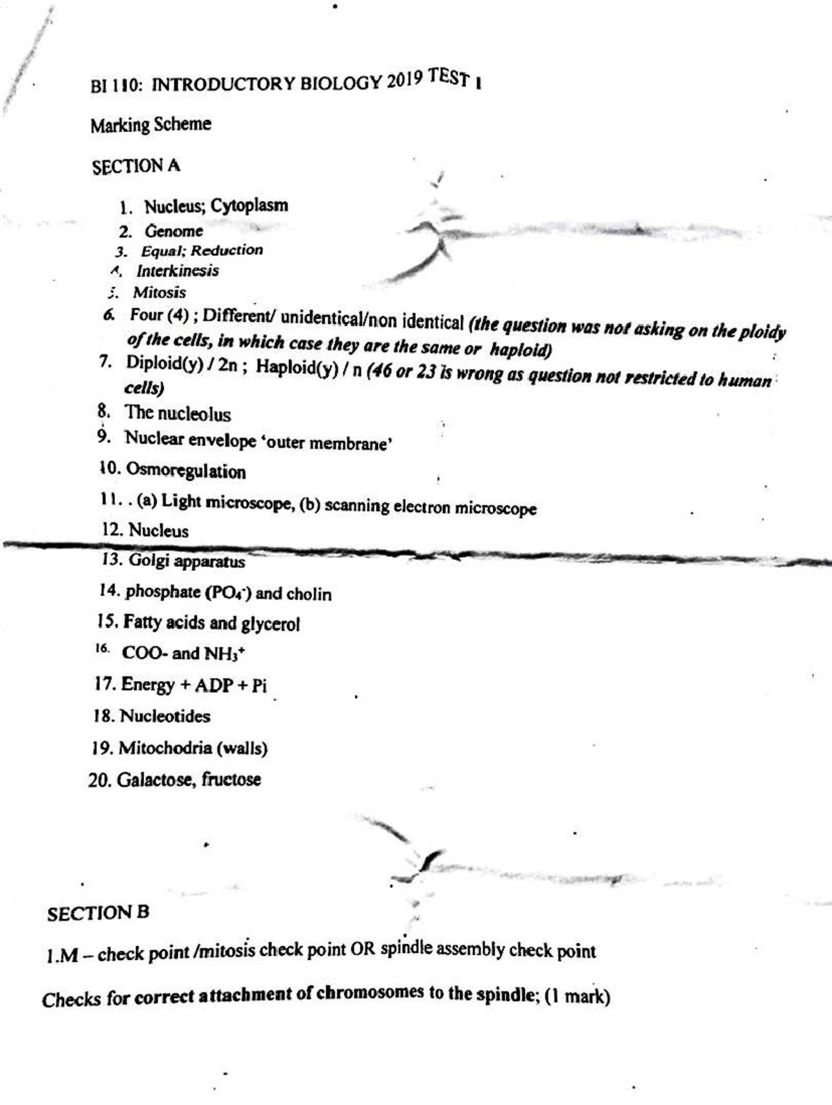 BI 110: Introductory Biology 2019 Test I Marking Scheme & Revision ...