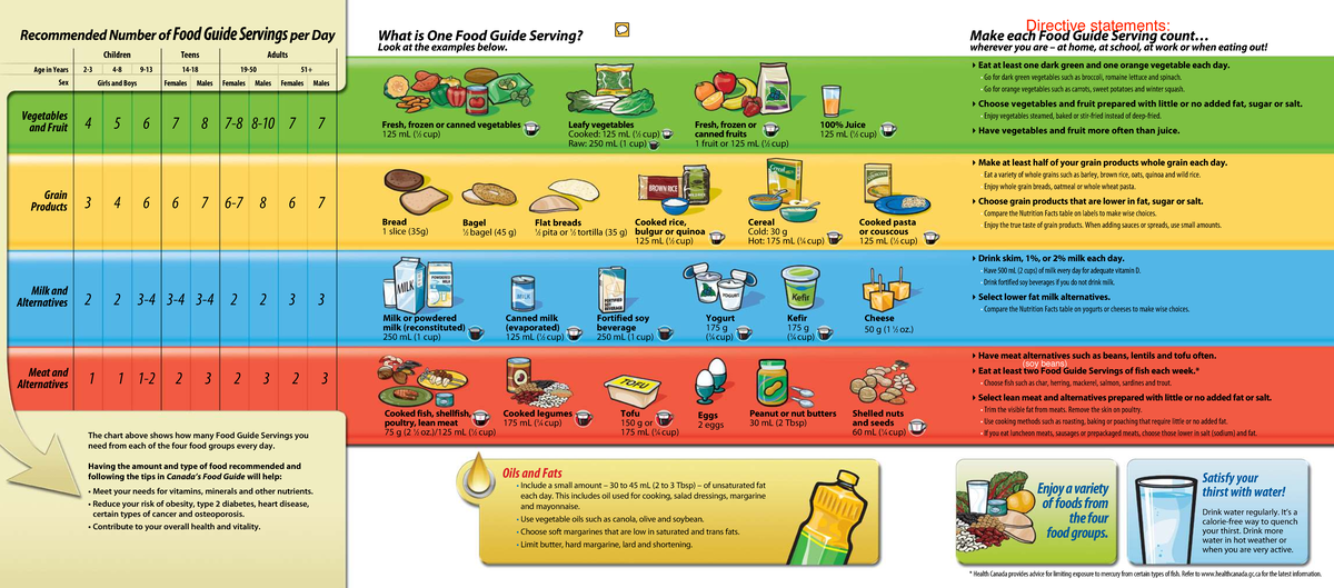 Canada's Food Guide: Daily Servings for Children & Adults - Studocu