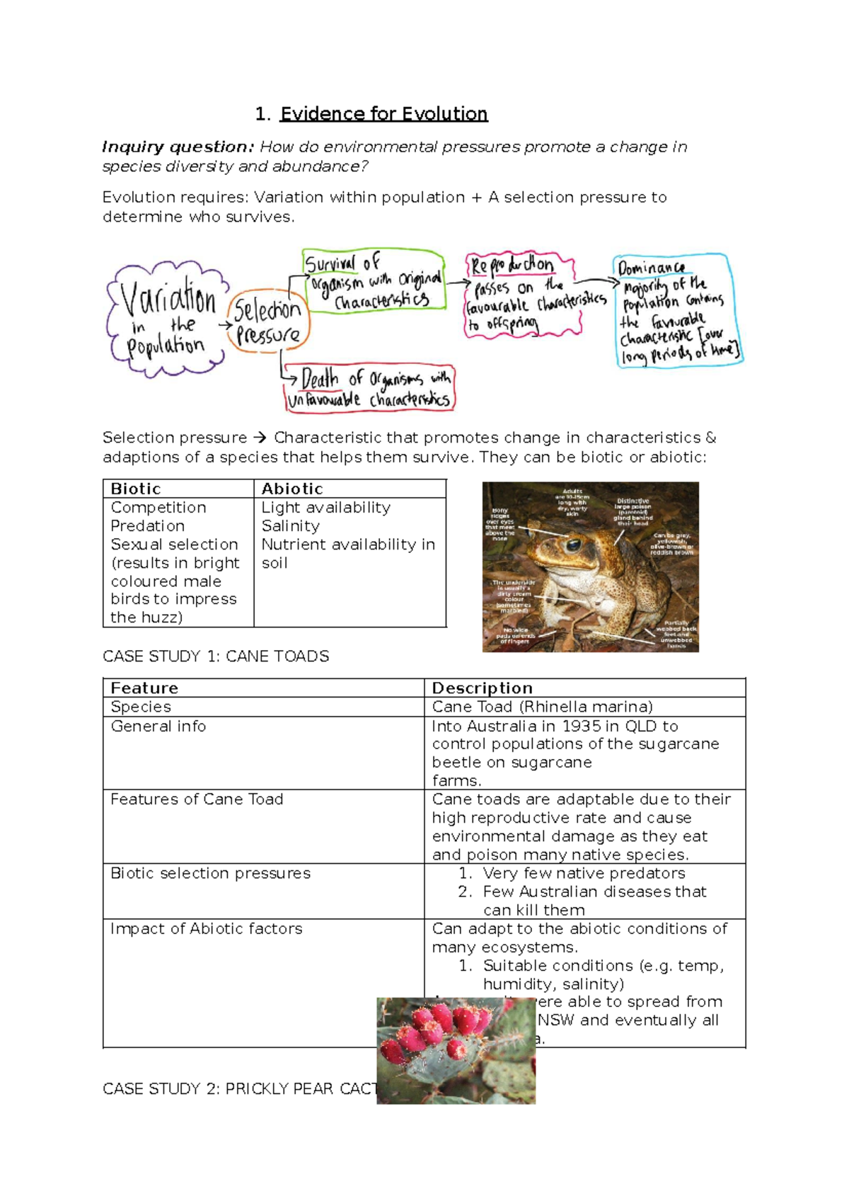 Mod 3 Biological Diversity: Evidence for Evolution and Adaptations ...