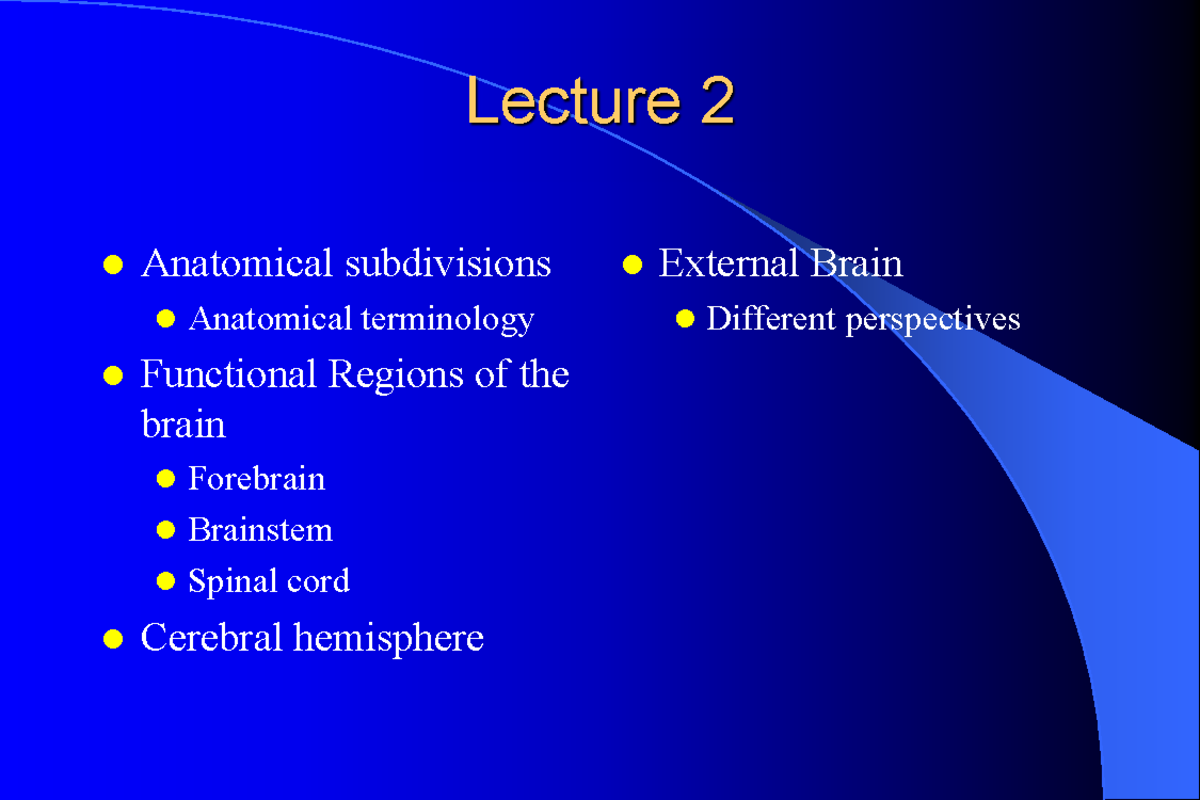 Lecture 2: Anatomical Subdivisions and Brain Function - Studocu