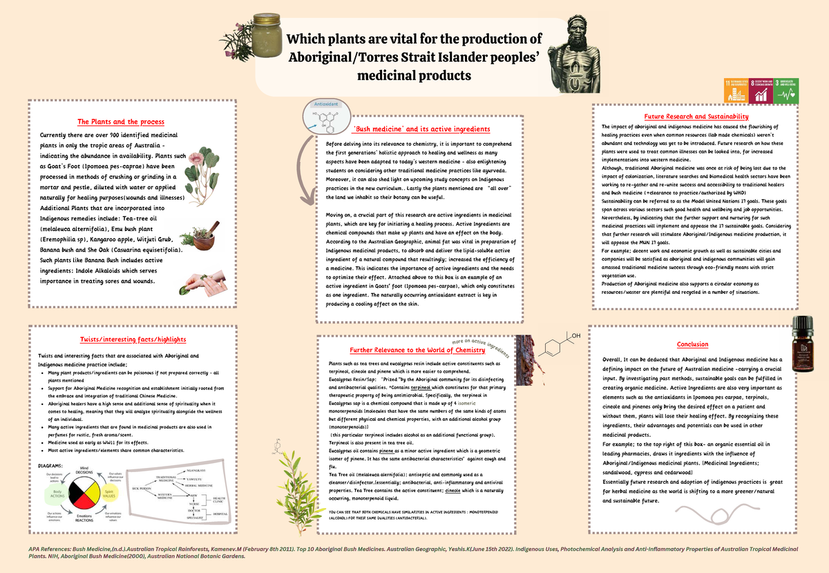 Chem poster honouring aboriginal medicine. omsaidevasena - Which plants ...