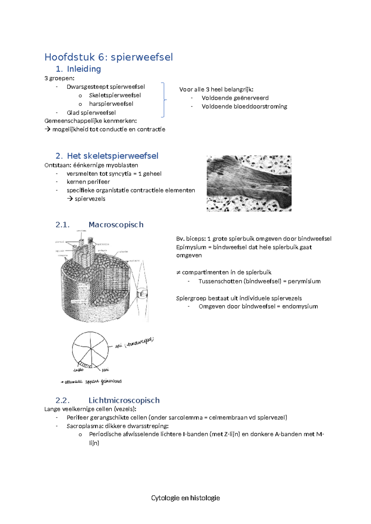Hoofdstuk 6: Spierweefsel - Structuur en Functie van Spiercellen - Studocu