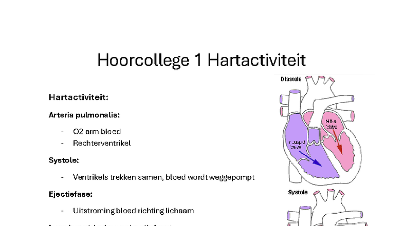 Hoorcollege 1: Hartactiviteit en ECG Analyse - Studeersnel