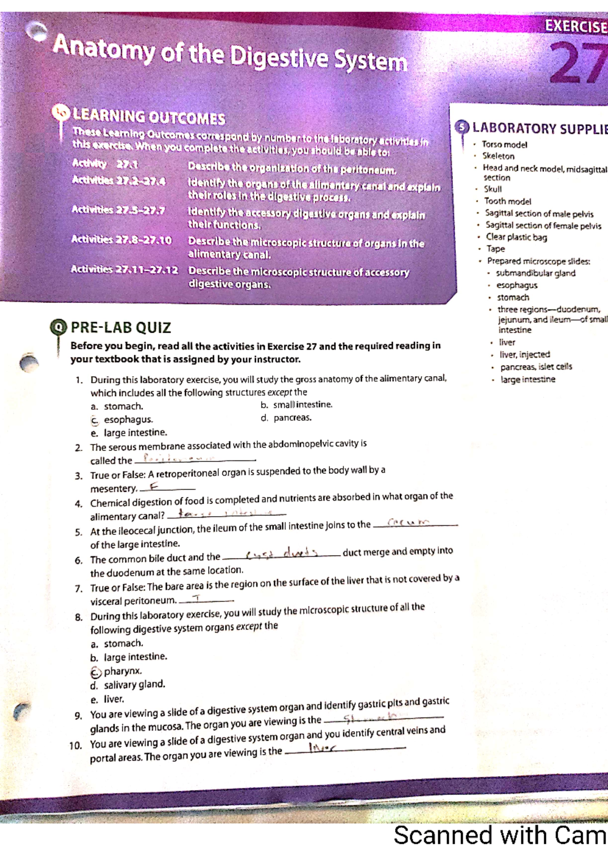 Lab Digestive System 1 - QUIZ Before you begin, read all the activities ...