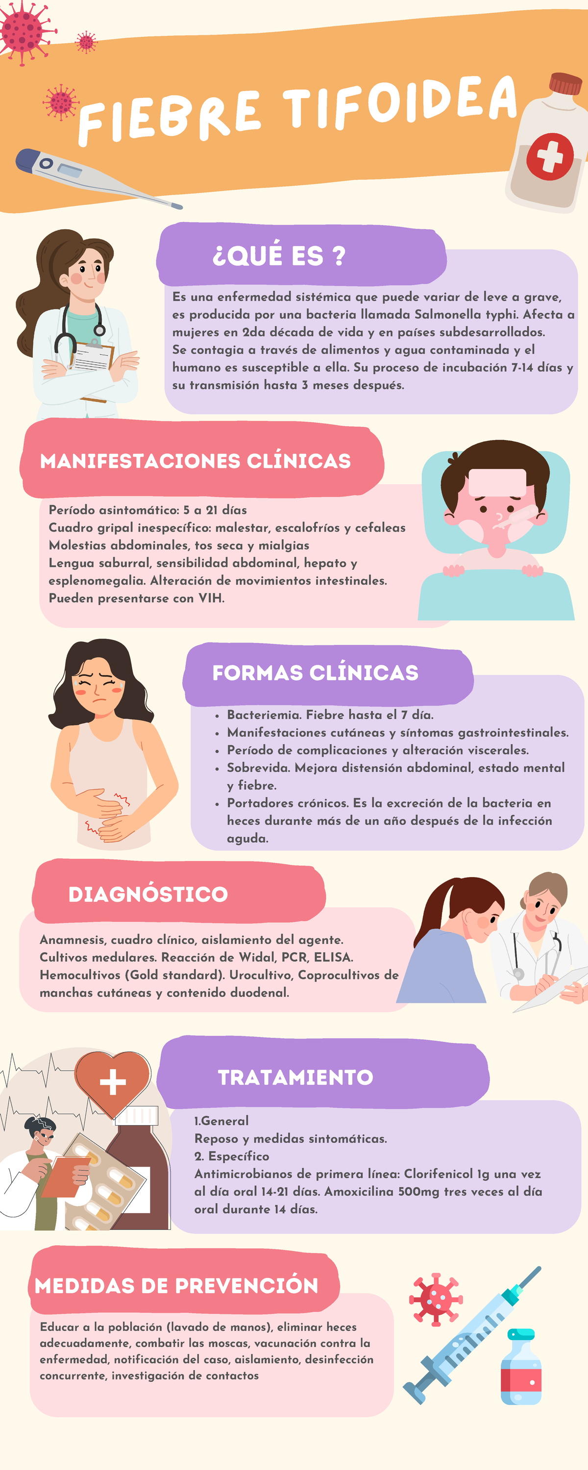Infografía sobre Fiebre Tifoidea: Síntomas y Tratamiento - Studocu