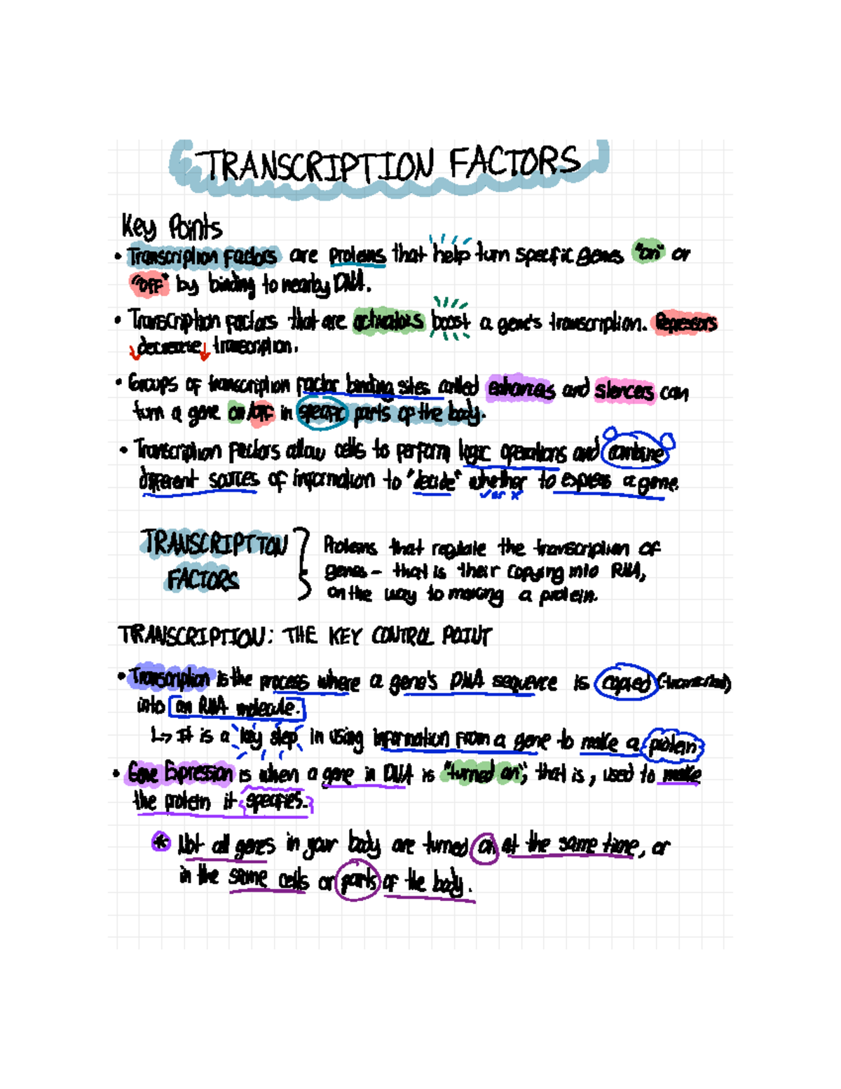 Transcription Factors: Key Points and Functions (BIO 101) - Studocu