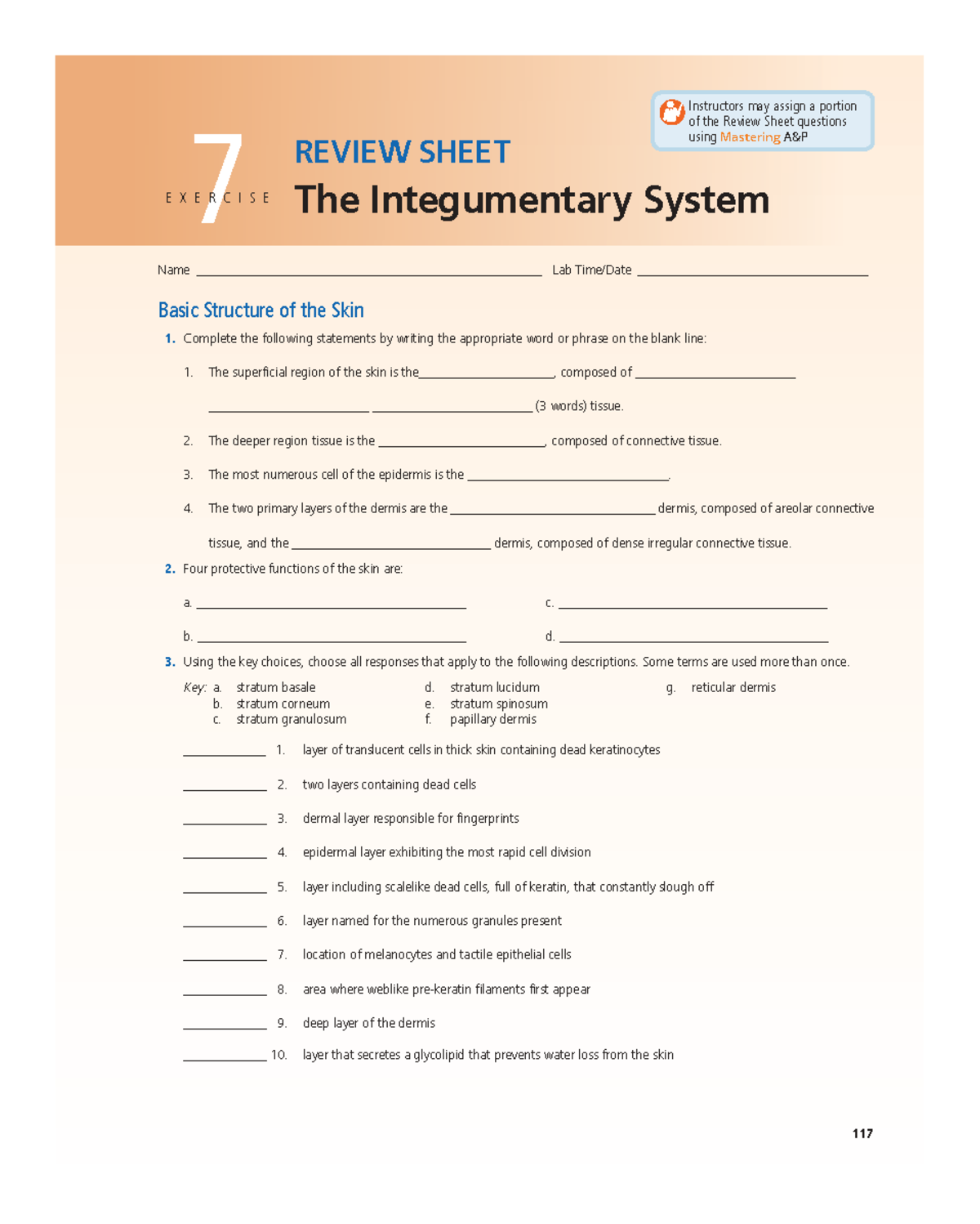 02 Integumentary System Worksheet - ####### 117117 Instructors may ...