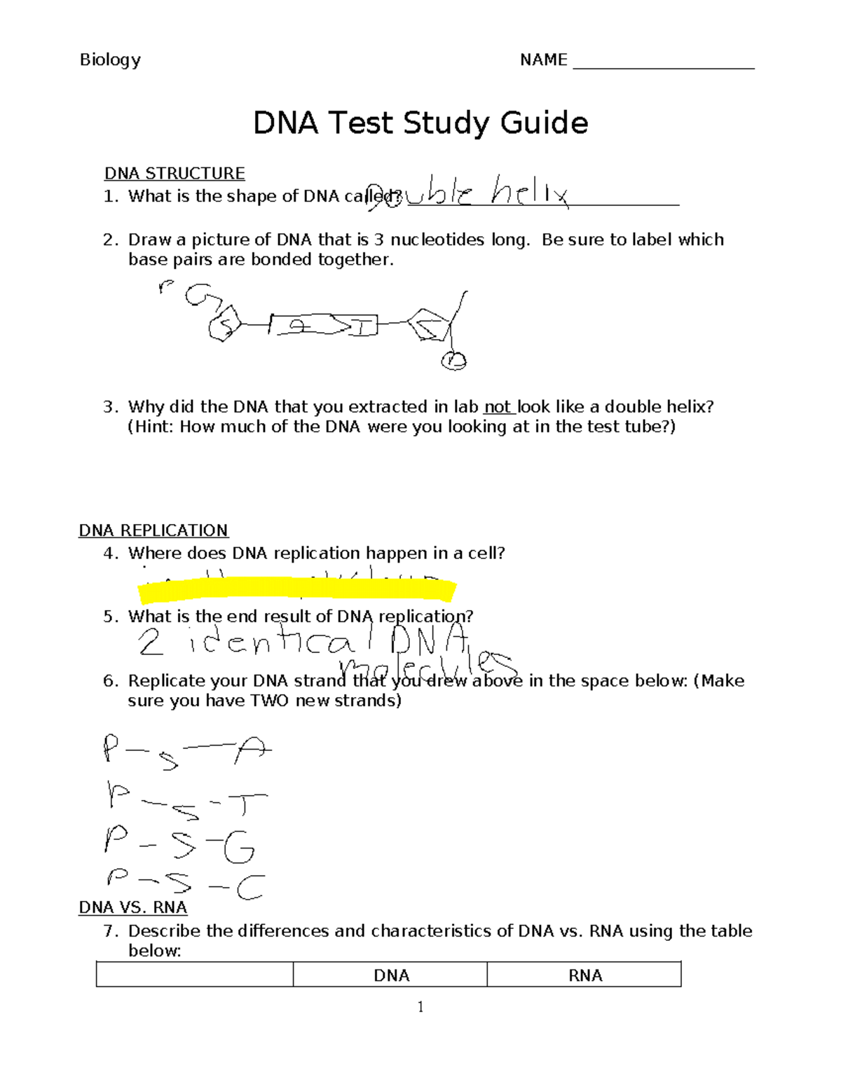 Biology 101: DNA Test Study Guide on Structure, Replication & Synthesis ...