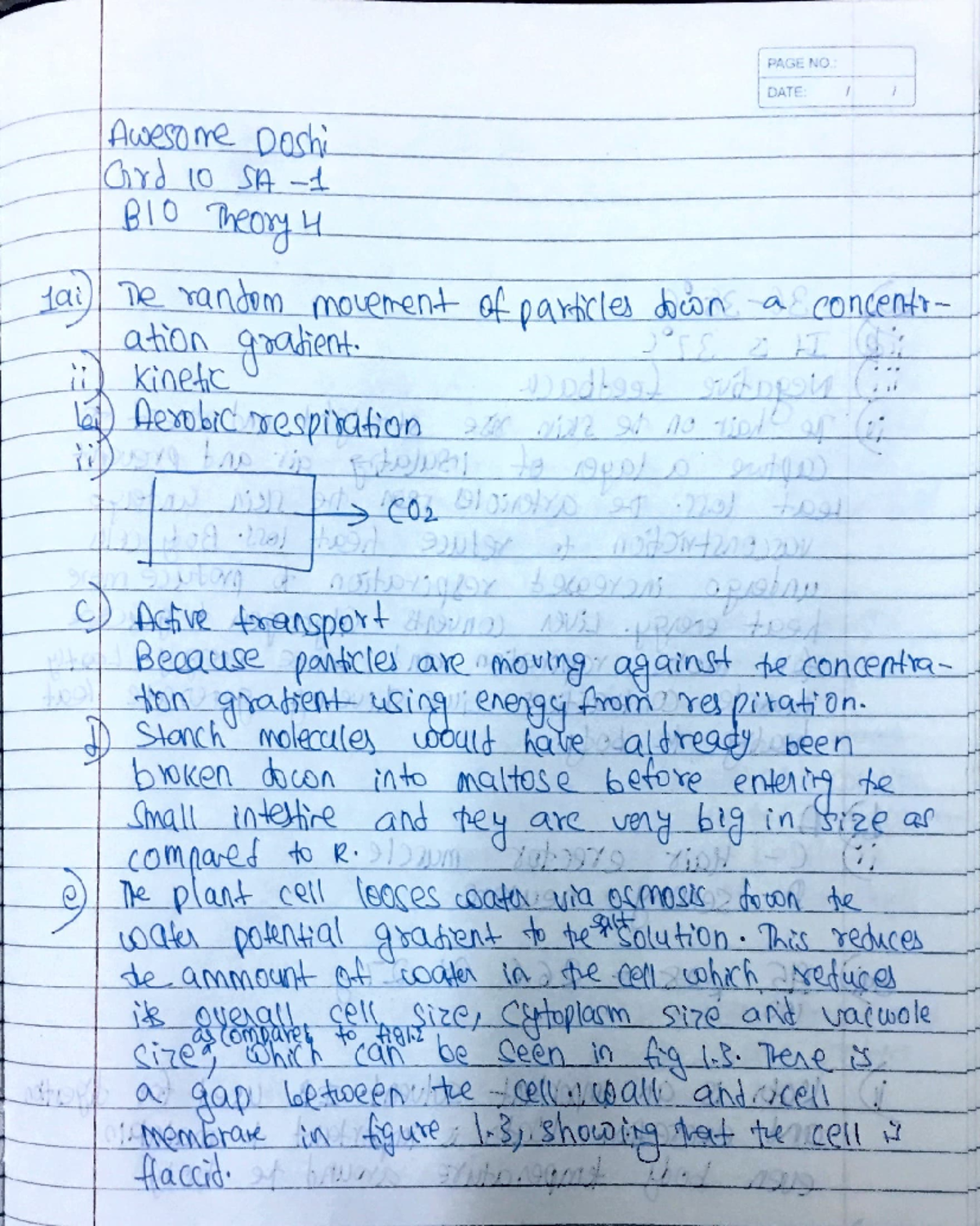 Bio Theory Overview and Importance in Modern Science - Studocu