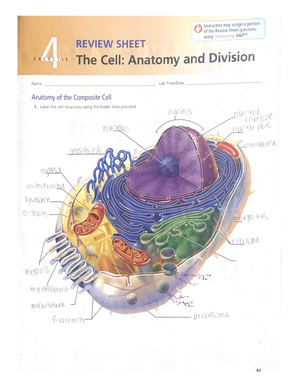 AP - Lab Ex. 02 Review sheet chapter 2 Organ systems overview - BIO 111 ...