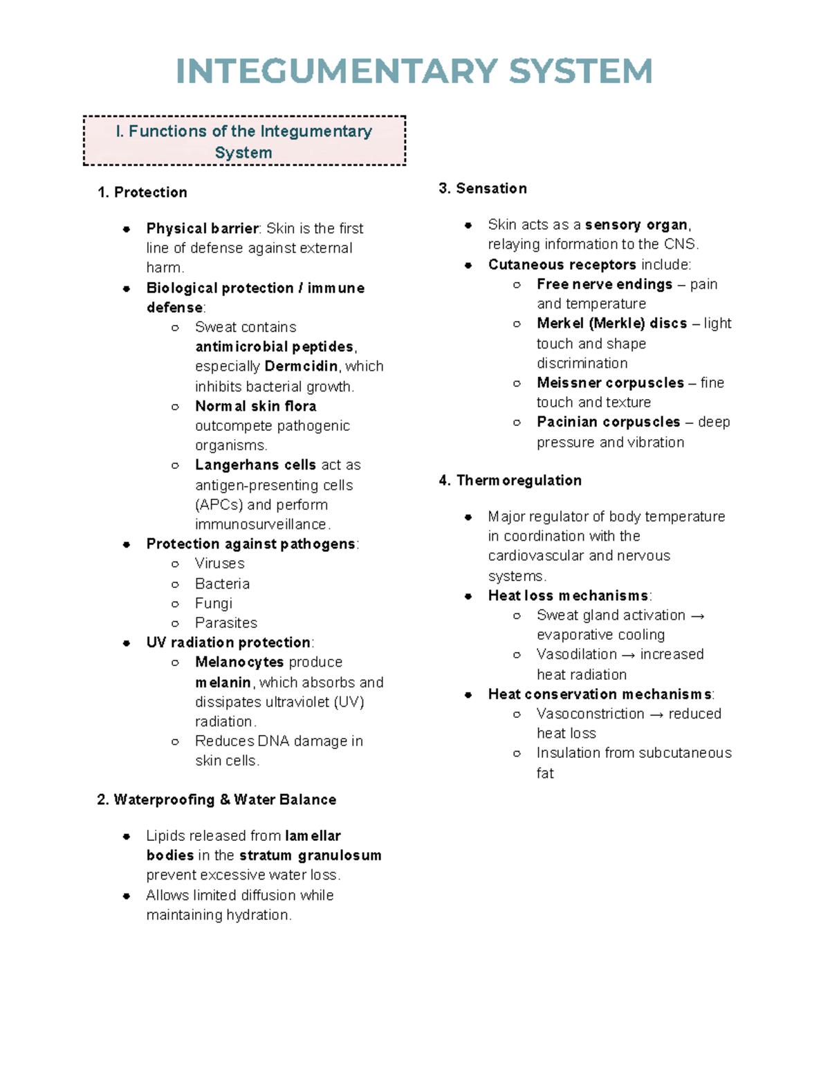 Integumentary System: Functions, Components & Clinical Correlations ...