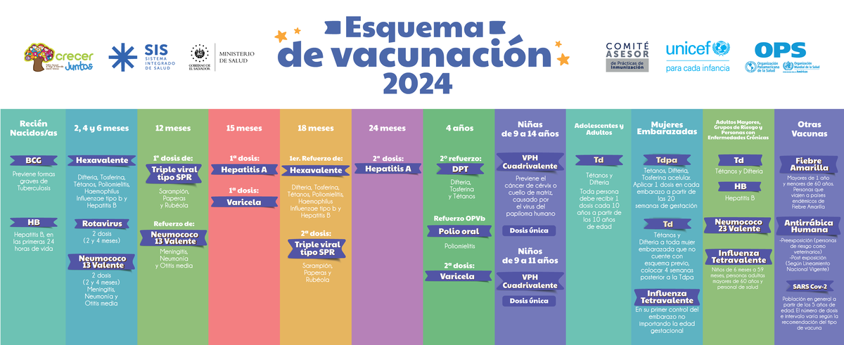 Esquema de Vacunación El Salvador 2024: Dosis y Recomendaciones - Studocu