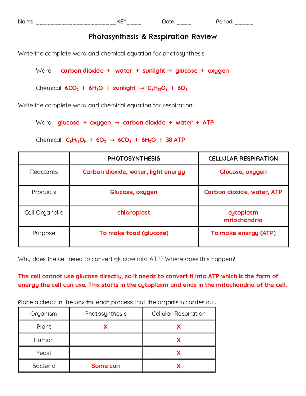Key Study Guide: Photosynthesis & Respiration Review - Studocu
