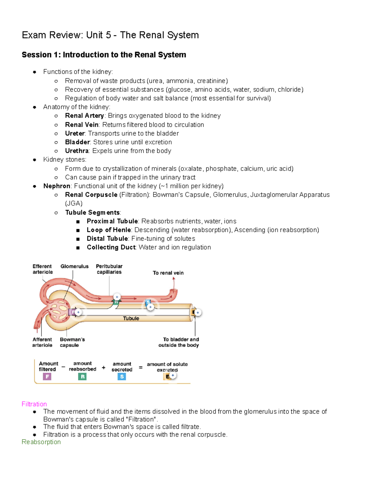 Test 2 Review: Units 5 & 6 - Renal and Respiratory Systems Insights ...