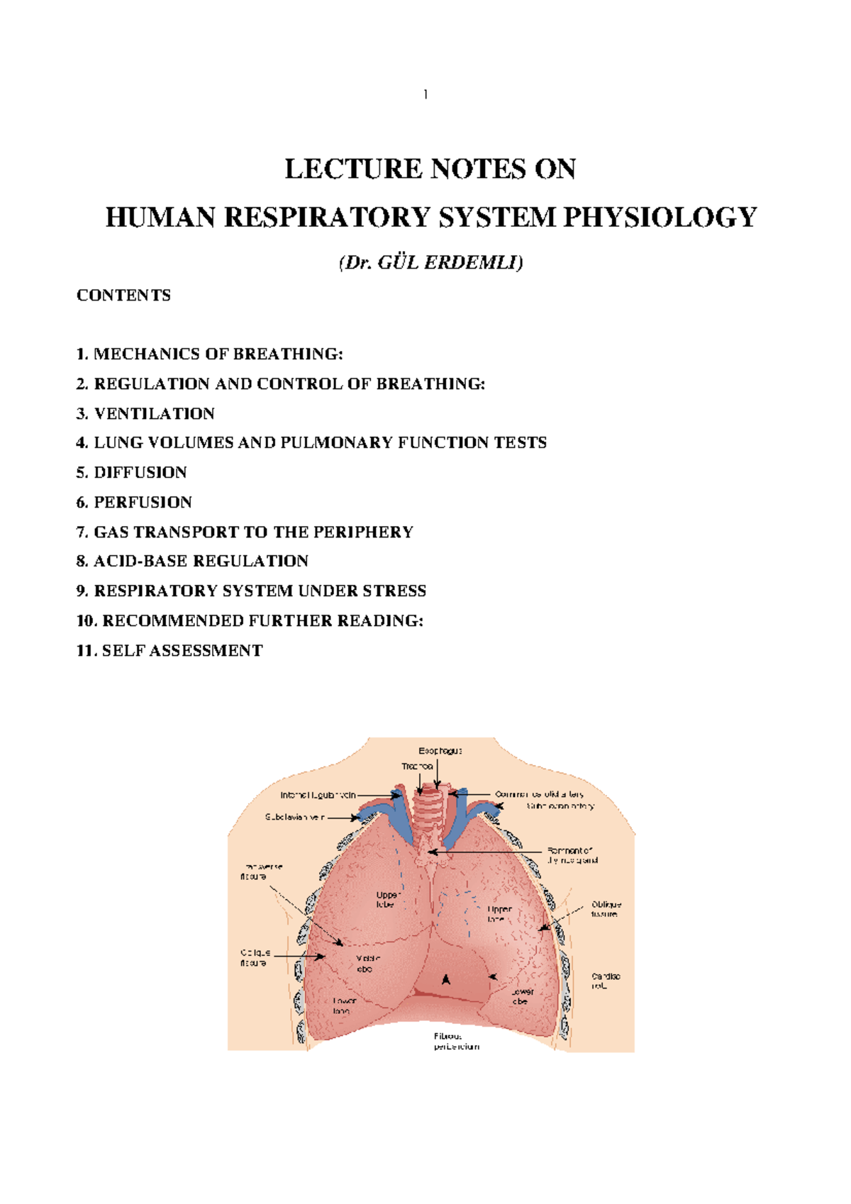 092547601064 - Lecture Notes on Human Respiratory System Physiology ...