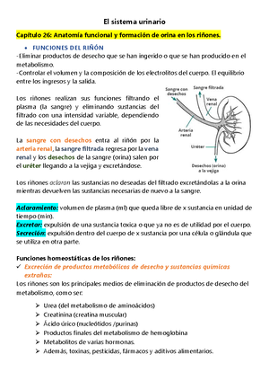 Tusivanz Compuesto Y Jarabe - R TUSIVANZ compuesto Carboximetilcisteína ...