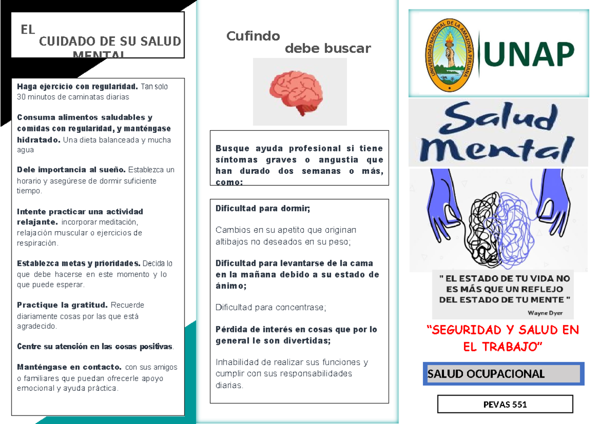 Cuidado de la Salud Mental: Estrategias y Consejos PEVAS 551 - Studocu